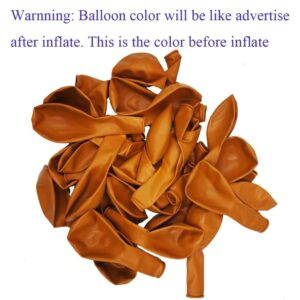 Burnt Orange Balloons 12 Inch 50 Pcs Baby Shower Party Balloons Happy Birthday Decoration Balloons Tropical Jungle Safari Party Decoration