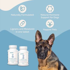 PranaPets Lignans & Melatonin Blend Naturally Aids in Relieving Symptoms of Cushing's Disease in Dogs | Helps Promote Healthy Adrenal Balance & Overall Well-Being | 1 MG Melatonin, 10 MG Lignans