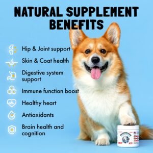 Dog Vitamins - 120 Multivitamins Chews w/Glucosamine Chondroitin, Probiotics Digestive Enzymes and Omegas - Supplement for Overall Health - Joint Support, Immune Health, Skin and Heart Health