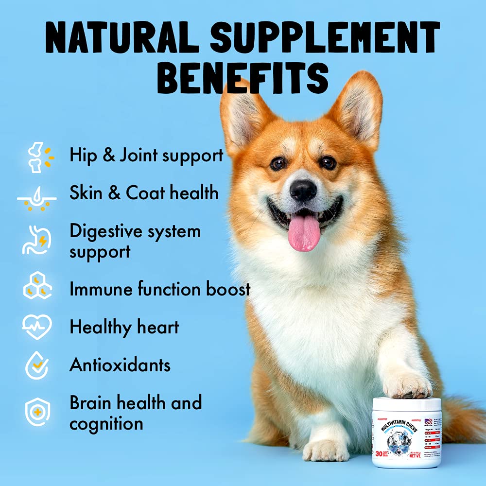 Dog Vitamins - 120 Multivitamins Chews w/Glucosamine Chondroitin, Probiotics Digestive Enzymes and Omegas - Supplement for Overall Health - Joint Support, Immune Health, Skin and Heart Health