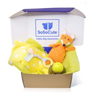 sosocute yellow dog gift box - puppy chew toy set of 5 - puppy care package with dog blanket, squeaky plush, rubber puppy teether, teething ball, and treat ball for small and medium dogs