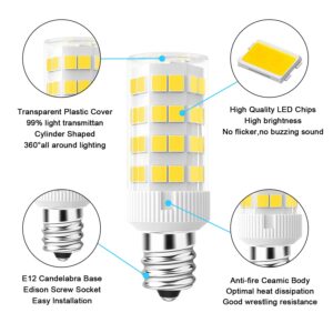 E12 LED Bulb 5W Equivalent to 40W C7 Replacement Bulbs Clear Type B Candelabra Base Bulbrite Daylight White 6000K Non-Dimmable (2-Pack)