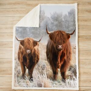 Highland Cattle Pattern Throw Blanket Highland Cow Blanket for Kids Boys Girls Farmhouse Cow Landscape Blanket for Chair Office Room,Throw (50 x 60 Inches)