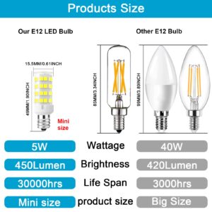 E12 LED Bulb 5W Equivalent to 40W C7 Replacement Bulbs Clear Type B Candelabra Base Bulbrite Daylight White 6000K Non-Dimmable (2-Pack)