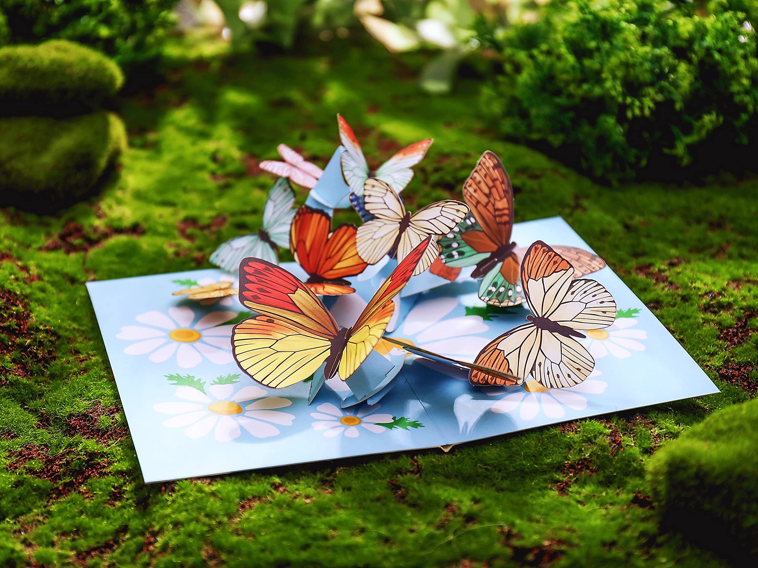 Liif Butterfly 3D Greeting Pop Up Thinking Of You Card, All Occasions, Sympathy, Just Because, Mothers Day, Birthday Card For Wife, Mom, Grandma | With Message Note & Envelop | Size 7" x 5"