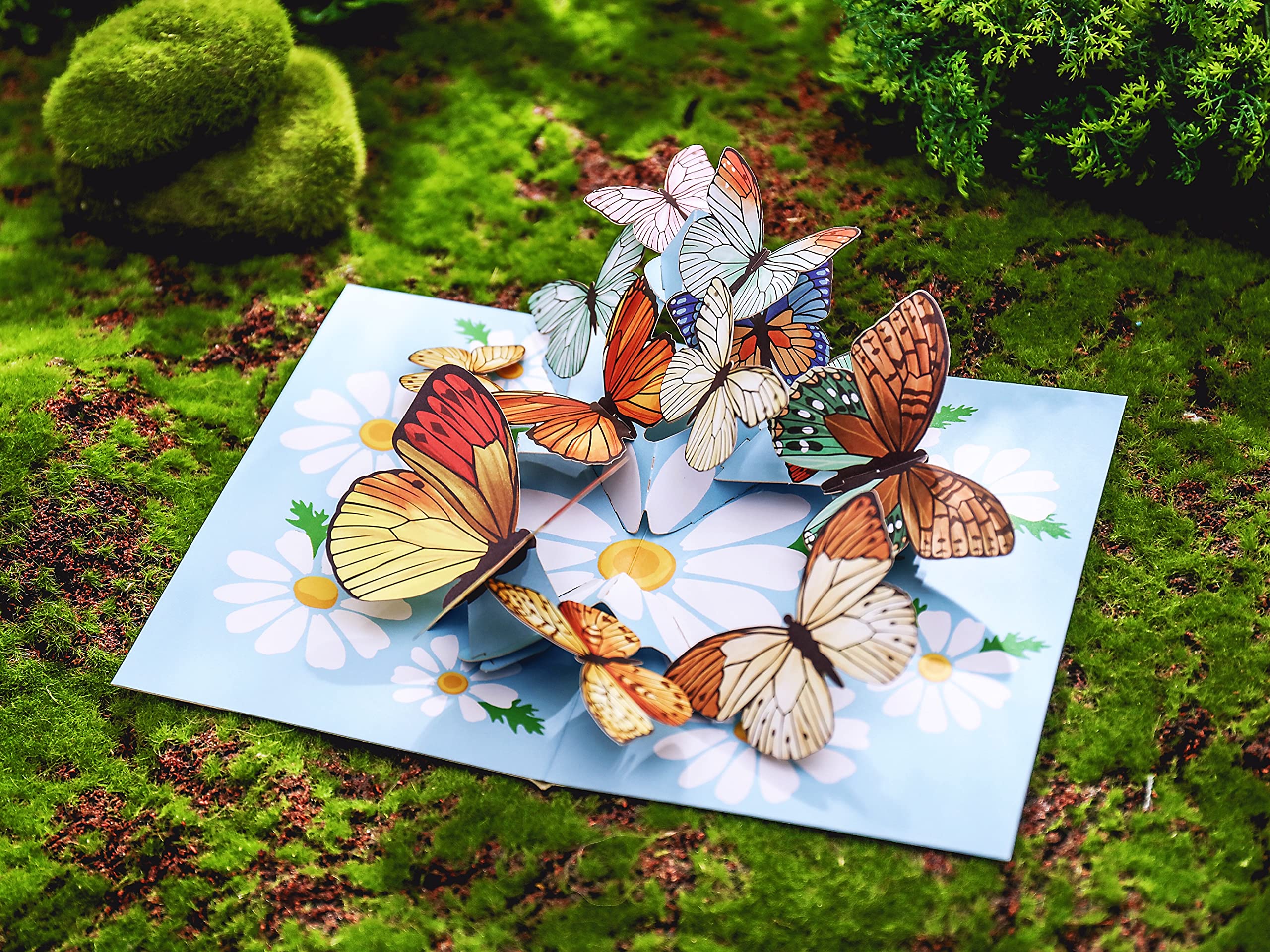 Liif Butterfly 3D Greeting Pop Up Thinking Of You Card, All Occasions, Sympathy, Just Because, Mothers Day, Birthday Card For Wife, Mom, Grandma | With Message Note & Envelop | Size 7" x 5"