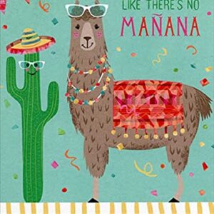 Sellers Publishing RSVP Fiesta Llama and Cactus Funny/Humorous Birthday Card