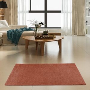 Furnish my Place Modern Plush Solid Color Rug - Rust, 2' x 3', Pet and Kids Friendly Rug. Made in USA, Area Rugs Great for Kids, Pets, Event, Wedding