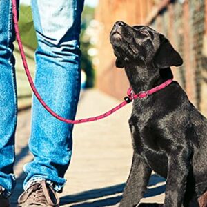 TagME Slip Leads for Dogs, 6 FT Heavy Duty Dog Leash with Padded Handle, Strong Rope No Pull Pet Training Leash for Small Dogs,Hot Pink