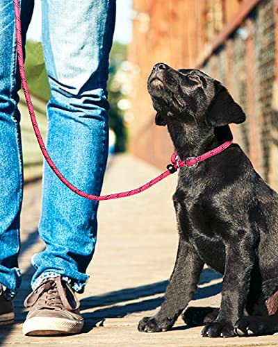 TagME Slip Leads for Dogs, 6 FT Heavy Duty Dog Leash with Padded Handle, Strong Rope No Pull Pet Training Leash for Small Dogs,Hot Pink