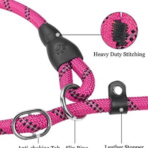 TagME Slip Leads for Dogs, 6 FT Heavy Duty Dog Leash with Padded Handle, Strong Rope No Pull Pet Training Leash for Small Dogs,Hot Pink