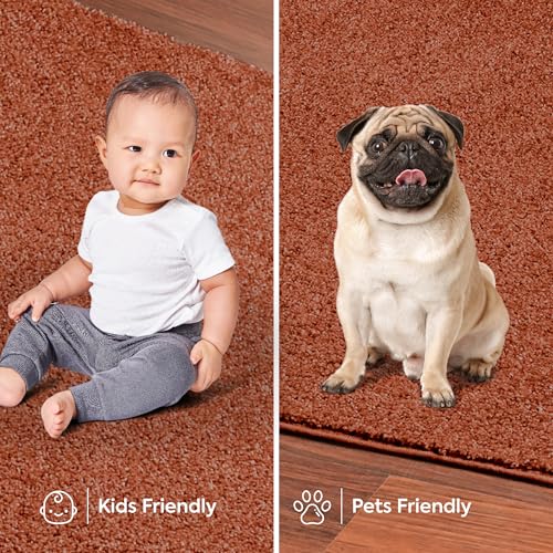 Furnish my Place Modern Plush Solid Color Rug - Rust, 2' x 3', Pet and Kids Friendly Rug. Made in USA, Area Rugs Great for Kids, Pets, Event, Wedding