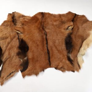 Natural Tanned Sheep Skin Antelope Fur Goat Hide Pelts Skin Springbok Fur Hide Pelt Rug Taxidermy Hunting Trophy and Fur Plush Fur Clothing Liner Bag Accessories 1PCS (16X16IN)