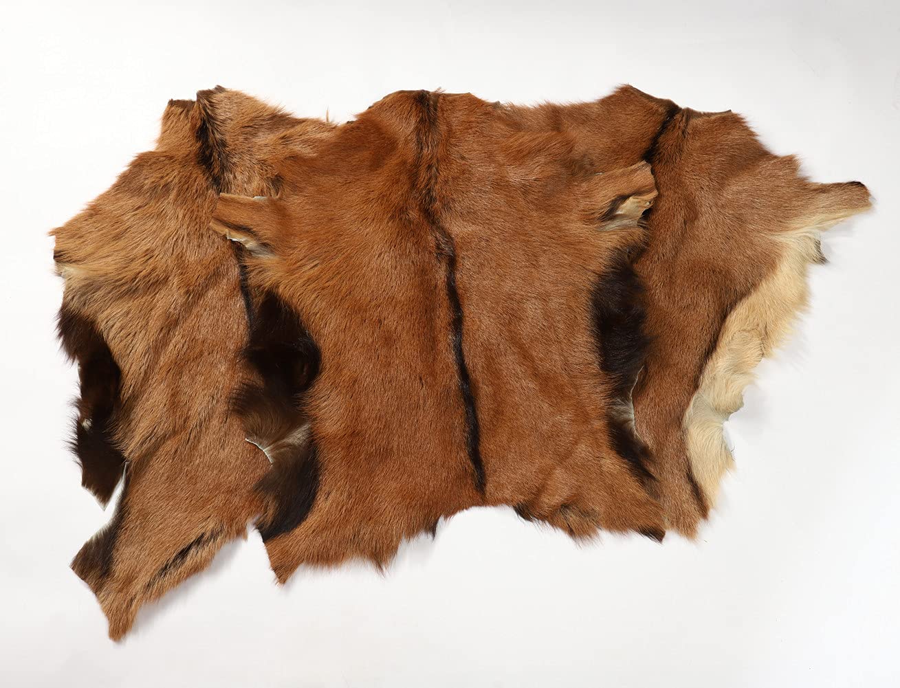 Natural Tanned Sheep Skin Antelope Fur Goat Hide Pelts Skin Springbok Fur Hide Pelt Rug Taxidermy Hunting Trophy and Fur Plush Fur Clothing Liner Bag Accessories 1PCS (16X16IN)