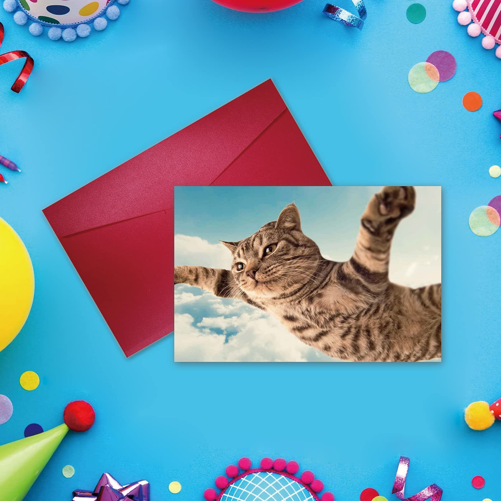 Chomerry Cat Birthday Card, Happy Birthday Card, Cat Hug Birthday Card, Bday Card for Cat Lover