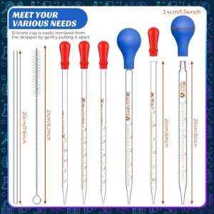 16 Pieces Glass Pipettes Graduated Dropper 2 PCS 10 ml 5 ml 3 ml 2 ml 1 ml 0.5 ml Glass Liquid Dropper with Rubber Caps 2 Pcs 20 cm Glass Stir Rod and 2 Washing Brush for Transfer Liquid Essential Oil