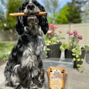 BRUTUS & BARNABY USA Sweet Potato Dog Treats - Grain Free, Pumpkin Bacon Crunchy Sticks - Great Tasting, Promotes Positive Dog Gut Health with Natural Anti-Diarrhea Properties, No Preservatives Added