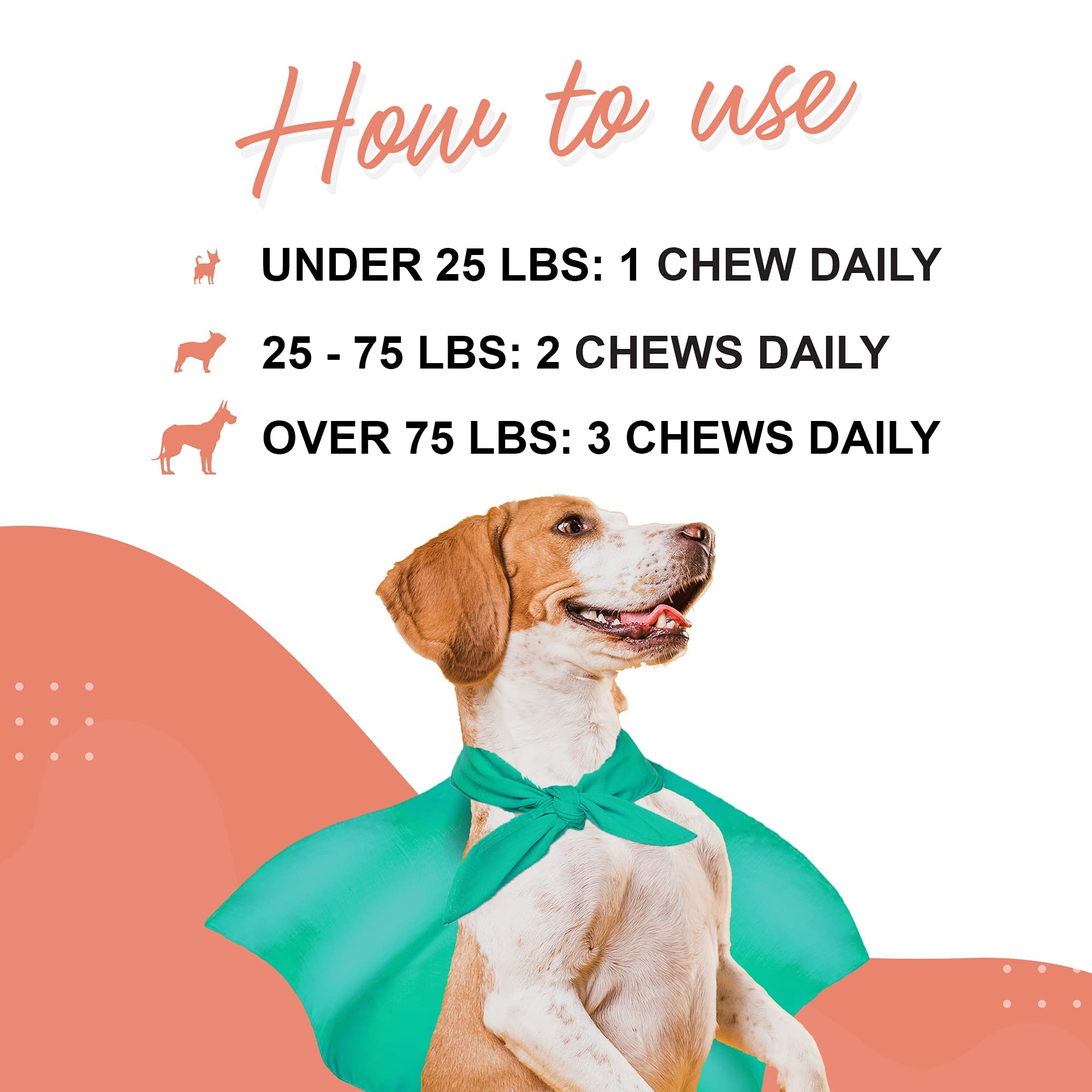 WONDER PAWS Daily Multivitamin Chews Plus Skin + Coat Chews - for Dogs Immune Support, Digestive Health, Joint Support, Skin & Coat - Daily Multi 60 Chews - Skin + Coat 70 Chews