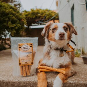 BRUTUS & BARNABY USA Sweet Potato Dog Treats - Grain Free, Pumpkin Bacon Crunchy Sticks - Great Tasting, Promotes Positive Dog Gut Health with Natural Anti-Diarrhea Properties, No Preservatives Added