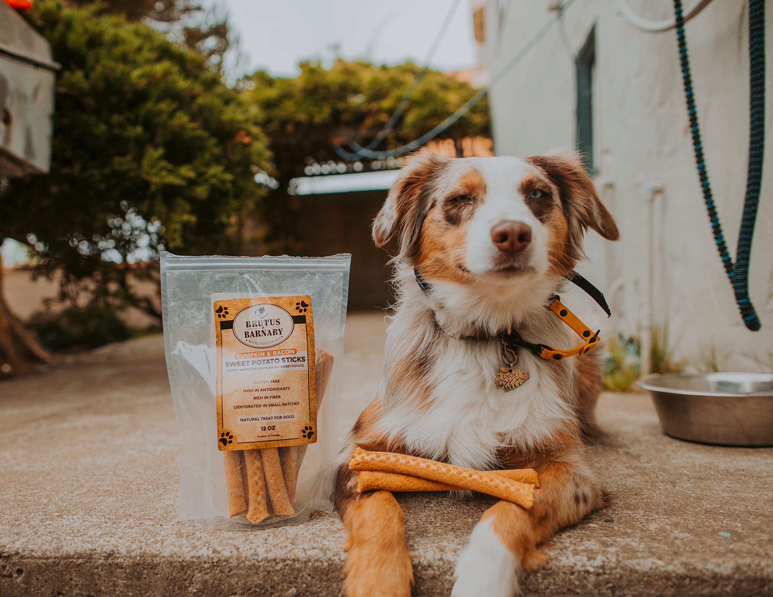 BRUTUS & BARNABY USA Sweet Potato Dog Treats - Grain Free, Pumpkin Bacon Crunchy Sticks - Great Tasting, Promotes Positive Dog Gut Health with Natural Anti-Diarrhea Properties, No Preservatives Added