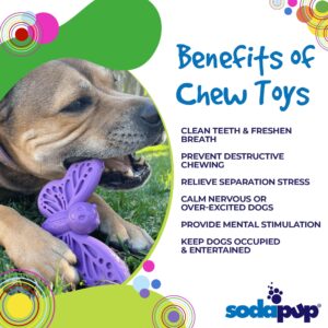 SodaPup Butterfly – Durable Dog Chew Toy Made in USA from Non-Toxic, Pet Safe, Food Safe Nylon Material for Mental Stimulation, Clean Teeth, Fresh Breath, Problem Chewing, Calming Nerves & More