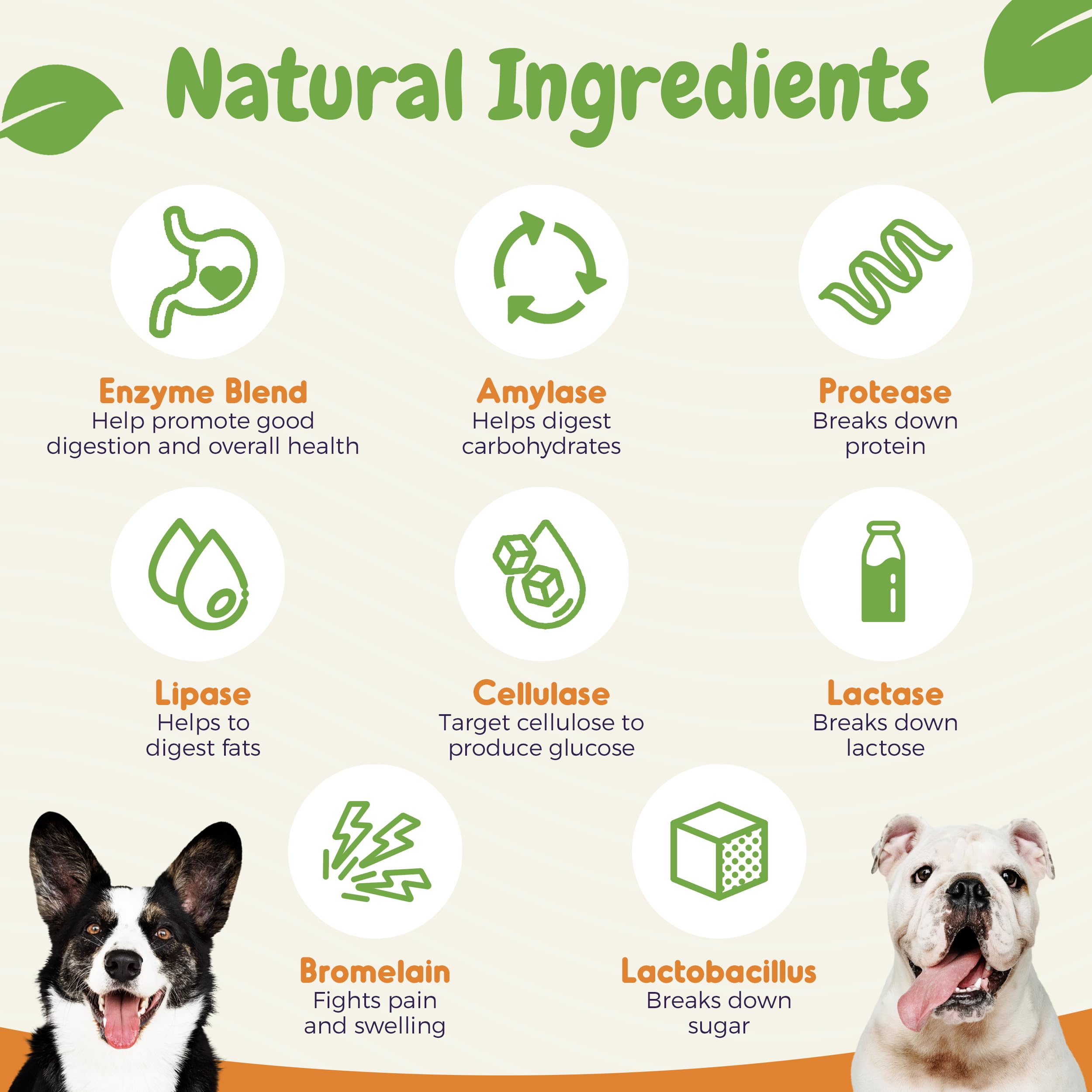 Inner Paw Probiotics for Dogs - Digestive Enzymes for Gut Health, Diarrhea & Bowel Support, Seasonal Allergies, Dog Supplement for Pet Immune System, Dog Vitamin - 120 Soft Chews - Chicken