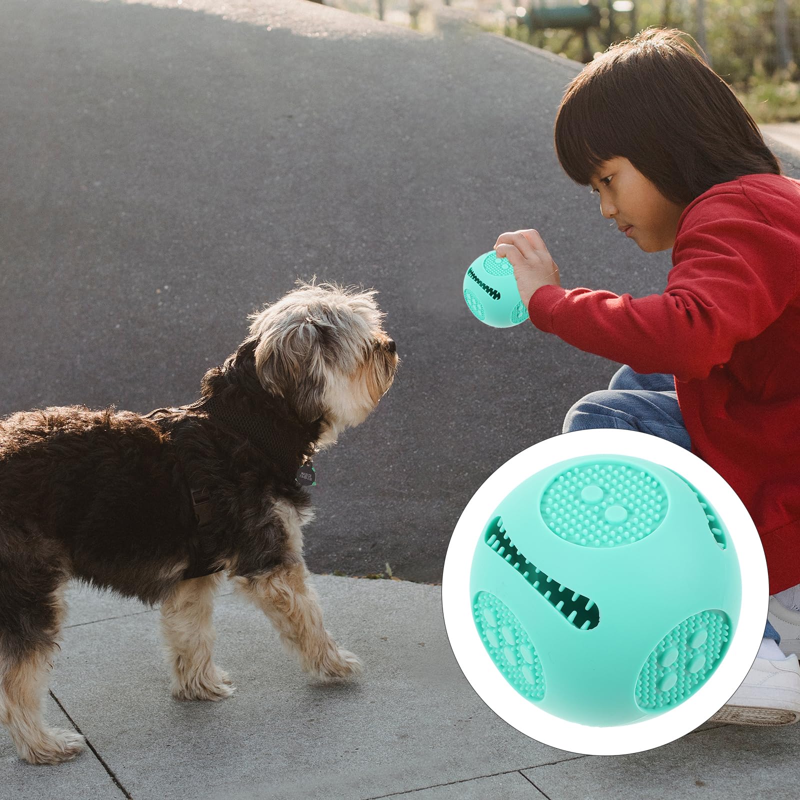 Chew Toy Small Dog Toy Dog Chewers Toys Molar Teether Funny Dog Toy Puppy Teething Toys Ceramic Dust Bath House Puppy Toys Aquarium Led Light Dental Toy Dog Bite Pet Ball