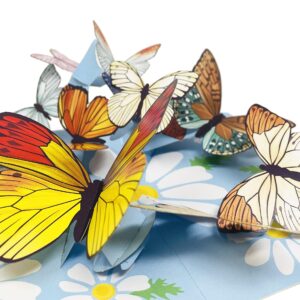 Gorgeous Butterflies,3D Pop Up Greeting Card For All Occasions,Love, Birthday, Christmas, Mother's Day, Good Luck, Congrats, Get Well,Message Note for Personalized,Thick Envelope, Fold Flat