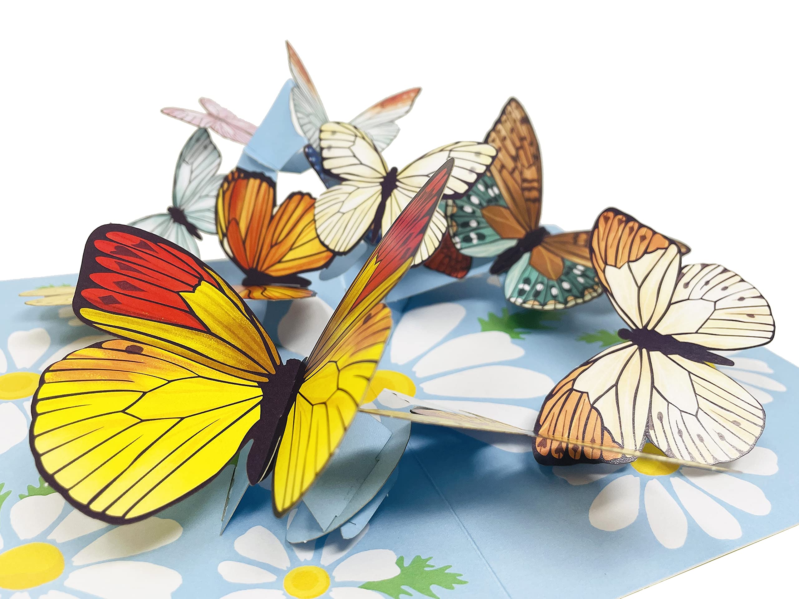 Gorgeous Butterflies,3D Pop Up Greeting Card For All Occasions,Love, Birthday, Christmas, Mother's Day, Good Luck, Congrats, Get Well,Message Note for Personalized,Thick Envelope, Fold Flat