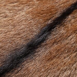 Natural Tanned Sheep Skin Antelope Fur Goat Hide Pelts Skin Springbok Fur Hide Pelt Rug Taxidermy Hunting Trophy and Fur Plush Fur Clothing Liner Bag Accessories 1PCS (16X16IN)