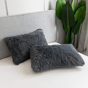 Plushii 3 Piece Fluffy Comforter Set Queen, Luxury Super Soft with Zipper Closure, Truly Velvet Duvet Cover Queen with 1 Faux Fur Comforter Cover & 2 Faux Fur Pillow Shams, Dark Grey