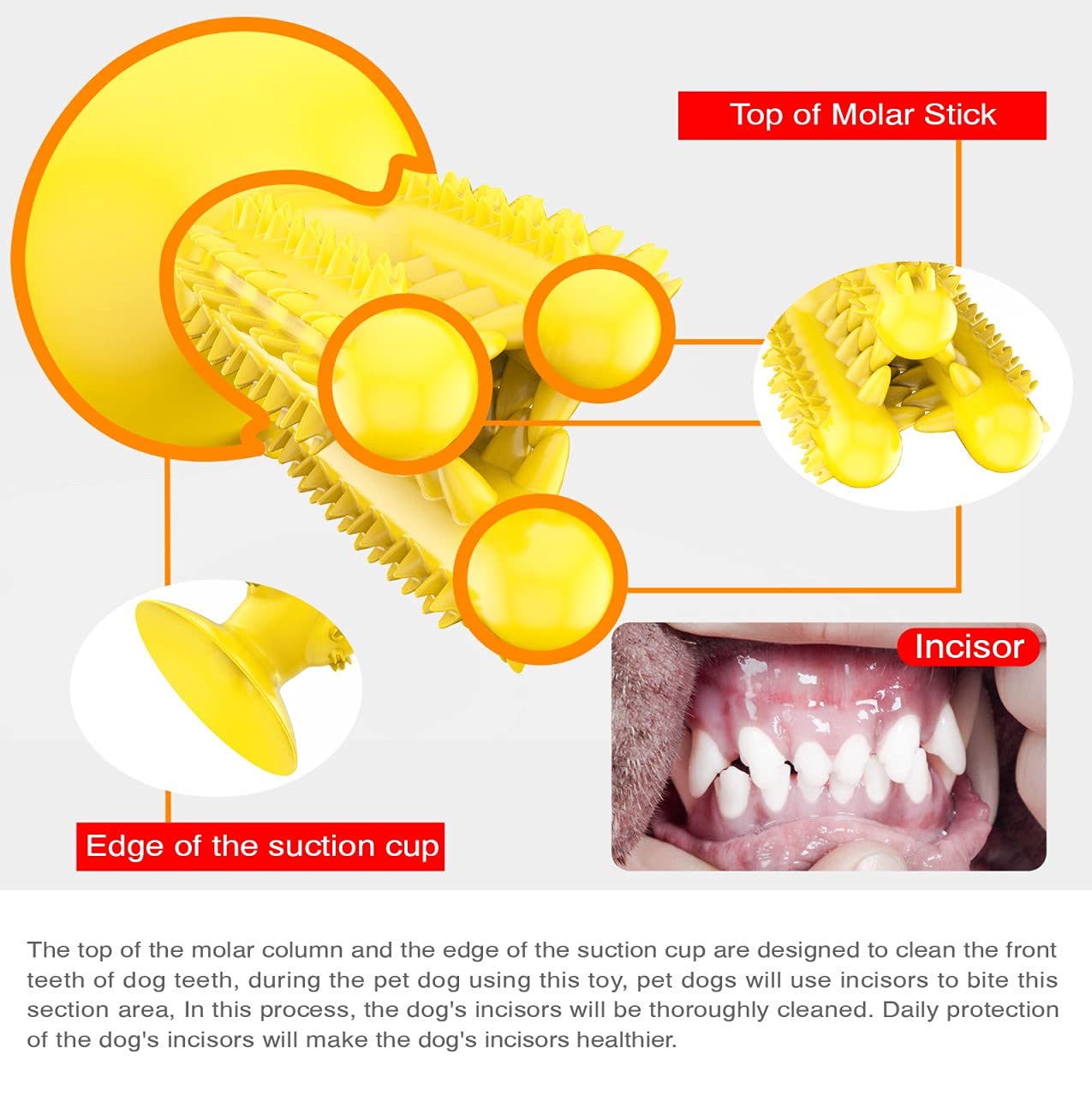 Splooty Paw Yellow Dog Toothbrush Chew Toy - Dog Toy Toothbrush Stick/Teeth Cleaning Toy for Dogs/Puppy Teething Chew Toy to Ensure Their Oral Health and Dental Hygiene