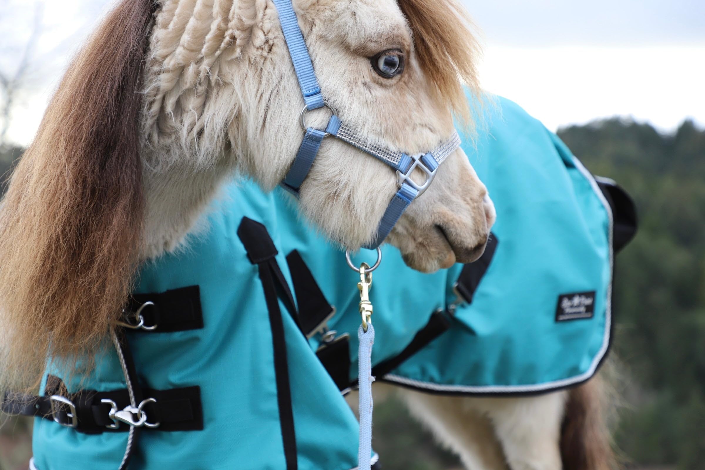 Star Point Horsemanship Mini-Pony Horse Ripstop Waterproof Windproof Blanket Hooded Lightweight Turnout Rain Sheet Breathable Lining 1200 Denier Material 100 Gram Fill (Raspberry, 52-54")