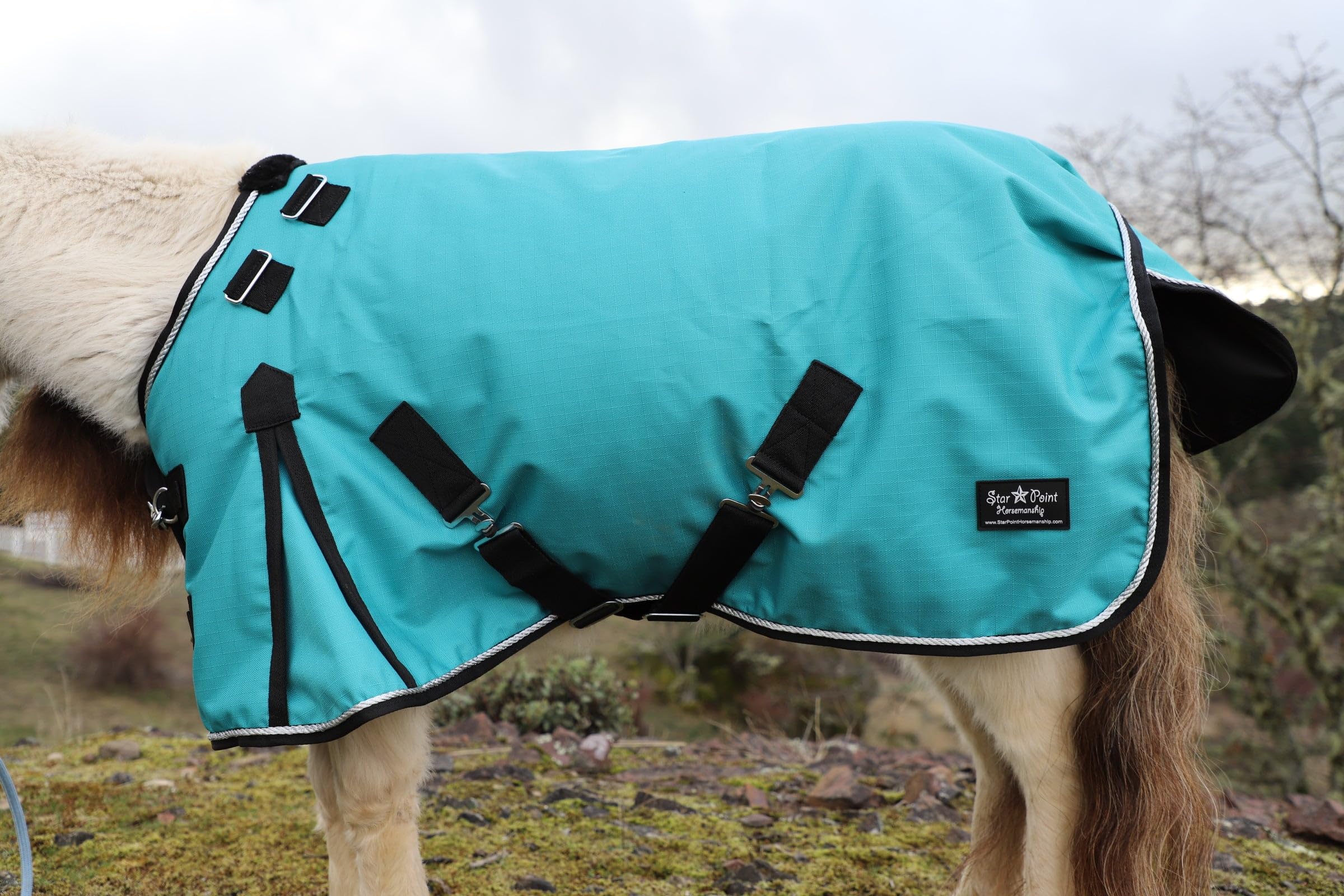 Star Point Horsemanship Mini-Pony Horse Ripstop Waterproof Windproof Blanket Hooded Lightweight Turnout Rain Sheet Breathable Lining 1200 Denier Material 100 Gram Fill (Raspberry, 52-54")