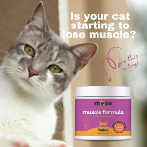 MYOS Feline Muscle Formula - Powered by Fortetropin for Senior Cats - Aids Weight Gain, Muscle Growth & Mobility Support - Natural, Cat Nutritional Supplement - 180 Servings