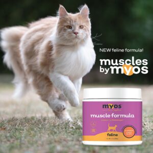 MYOS Feline Muscle Formula - Powered by Fortetropin for Senior Cats - Aids Weight Gain, Muscle Growth & Mobility Support - Natural, Cat Nutritional Supplement - 180 Servings