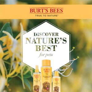 Burt's Bees Bundle Itch Soothing Grooming Kit - Includes Natural Itch Soothing Shampoo & Itch Soothing Spray with Honeysuckle, and Paw & Nose Lotion with Rosemary & Olive Oil - Made in The USA