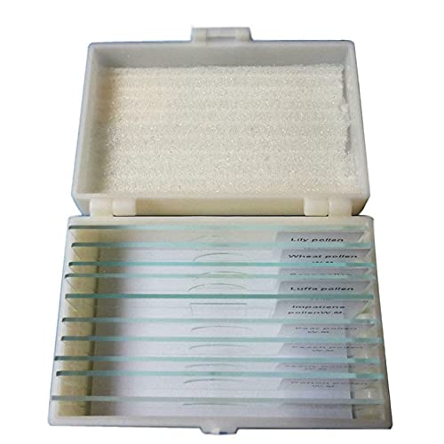 ONE Set of 10Pcs Prepared Microscope Slides Choice of 10 Different Themes (Pollens Prepared Slides)