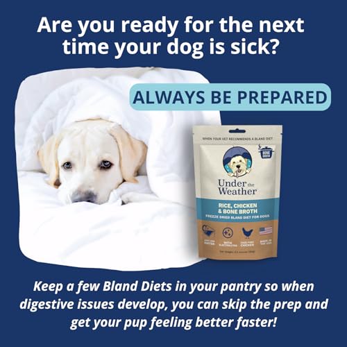 Under the Weather Bland Diet for Dogs | Easy to Digest for Sick Dogs |Always Be Ready| Contains Electrolytes - All Natural Freeze Dried 100% Human Grade Meats| 2 Pack- Chicken, Rice & Bone Broth - 6oz