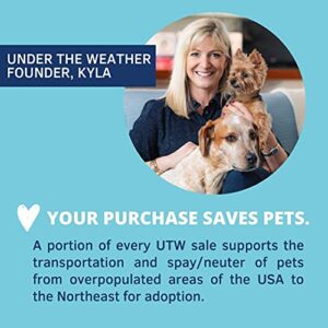 Under the Weather Bland Diet for Dogs | Easy to Digest for Sick Dogs |Always Be Ready| Contains Electrolytes - All Natural Freeze Dried 100% Human Grade Meats| 2 Pack- Chicken, Rice & Bone Broth - 6oz