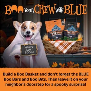 Blue Buffalo Boo Bits Soft & Chewy Halloween Dog Treats, Tasty Chicken Recipe, 4.5-oz Bag