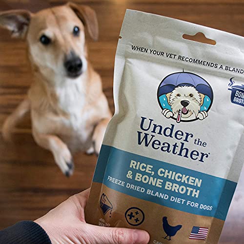 Under the Weather Bland Diet for Dogs | Easy to Digest for Sick Dogs |Always Be Ready| Contains Electrolytes - All Natural Freeze Dried 100% Human Grade Meats| 2 Pack- Chicken, Rice & Bone Broth - 6oz