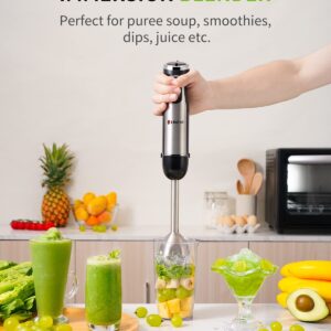 LIMENT 5-in-1 Multi-Purpose Hand Blender, 20-Speed Immersion Blender, Heavy Duty & Low-Noise DC Motor, With Food Chopper, Whisk, Milk Frother, Mixing Beaker, BPA-Free