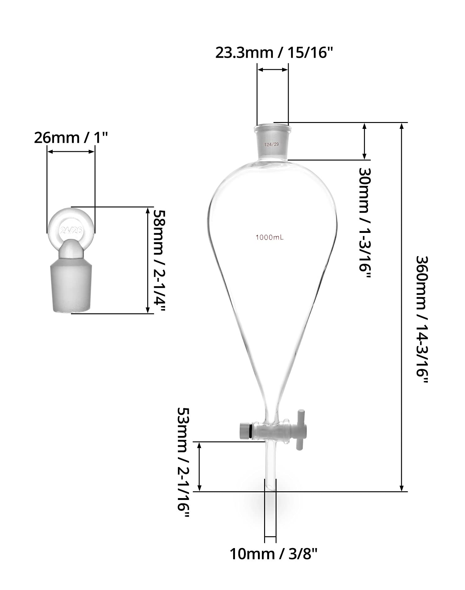 QWORK 1000ml Separating Funnel with 24/29 Joints and Stopcock