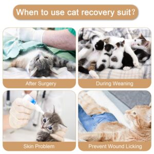 Due Felice Cat Surgery Recovery Suit Cats Surgical Onesie After Surgery Female Male Cat Post Spay Neuter Bodysuit Anti-Licking Wounds Cat Cone Alternative Yellow Bee/L