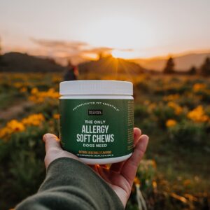 Natural Rapport Dog Allergy Supplement - The Only Allergy Soft Chews Dogs Need - 120ct Treats That Contain Kelp and Bee Pollen for Allergy and Itch Relief