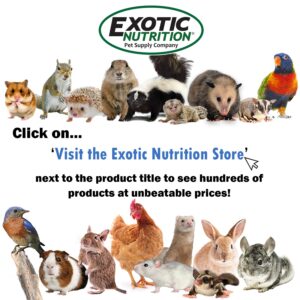 Exotic Nutrition Chew Toy Bundle - Natural Interactive Chew Toys - Chinchillas, Guinea Pigs, Hamsters, Rabbits, Degus, Prairie Dogs, Small Pets