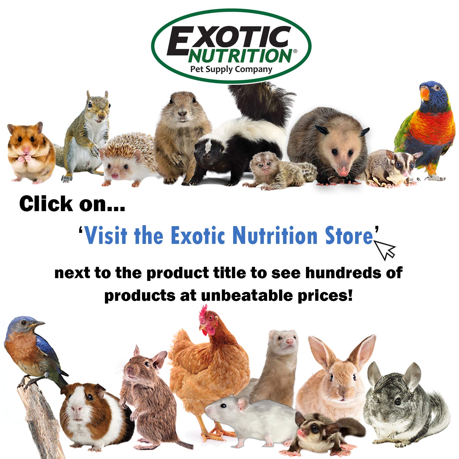 Exotic Nutrition Chew Toy Bundle - Natural Interactive Chew Toys - Chinchillas, Guinea Pigs, Hamsters, Rabbits, Degus, Prairie Dogs, Small Pets