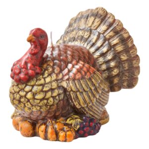 tag tucker turkey candle multi