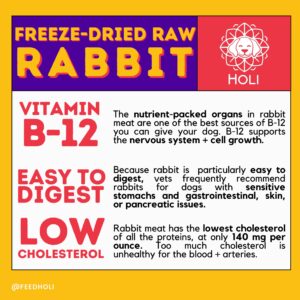 HOLI Freeze Dried Rabbit Treats for Dogs- All Natural Healthy Dog Treats, 100% Made in USA - Single Ingredient - Human Grade - Grain Free - Diabetic Friendly - 1.75oz